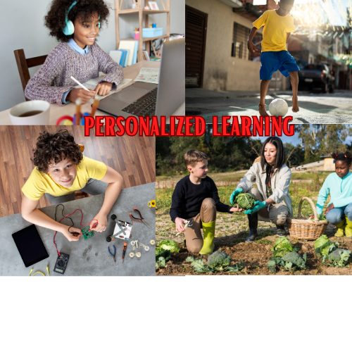 Embracing Individuality: How Homeschooling Celebrates Every Child’s ...